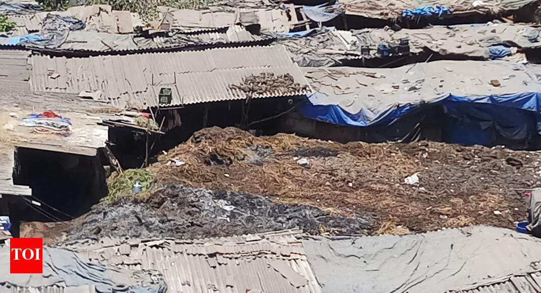 Smoke soot in the air - Times of India