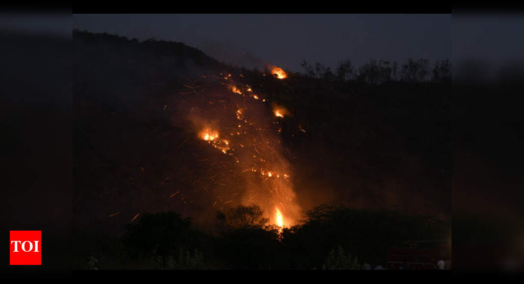 Forest fire related incidents doubled in last four days: Forest ...