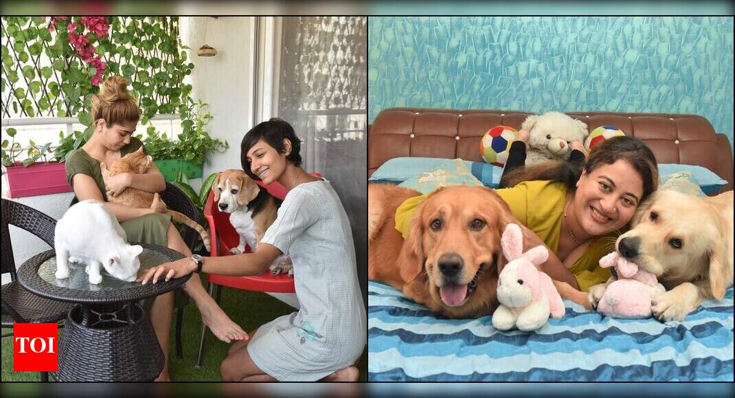 MOTHER’S DAY IS FOR YOU TOO, PET MOMS! - Times of India