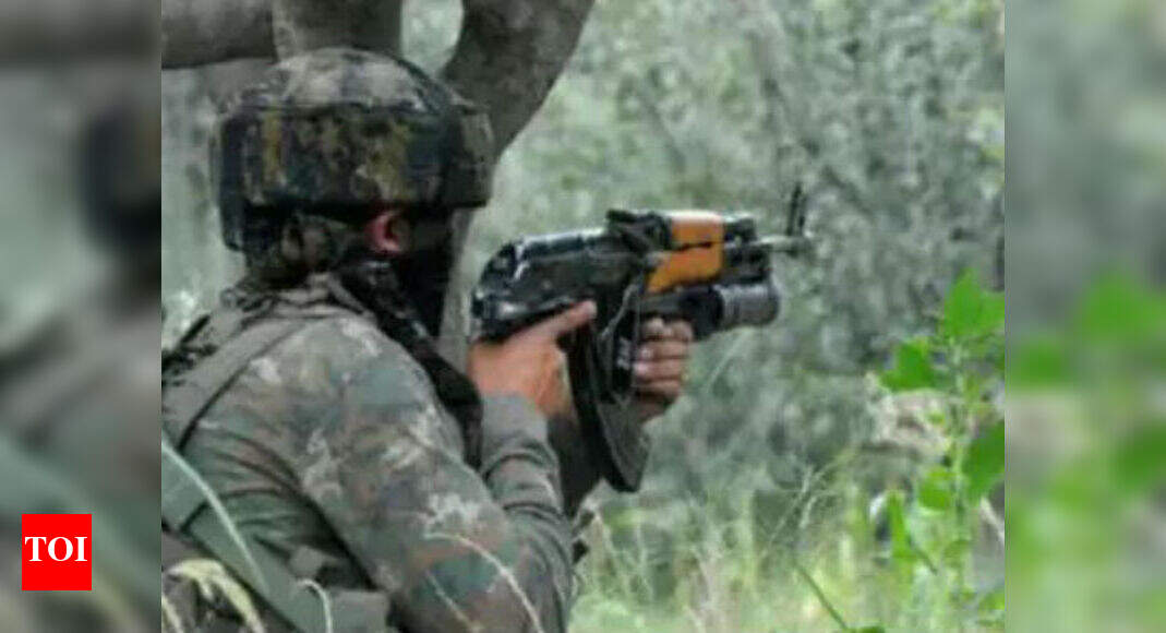 Former cop among two Lashkar terrorists killed in J&K encounter | India News - Times of India