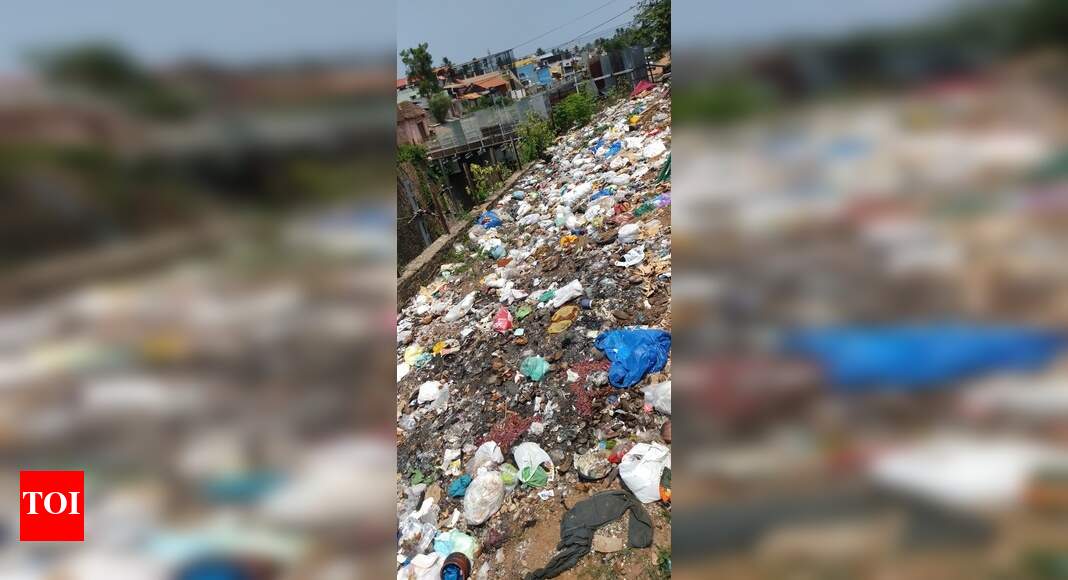 Garbage dumbed near railway bridge - Times of India