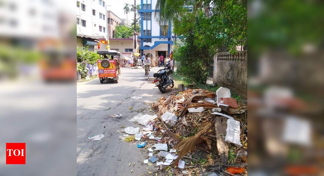 Garbage remains dumped beside road - Times of India