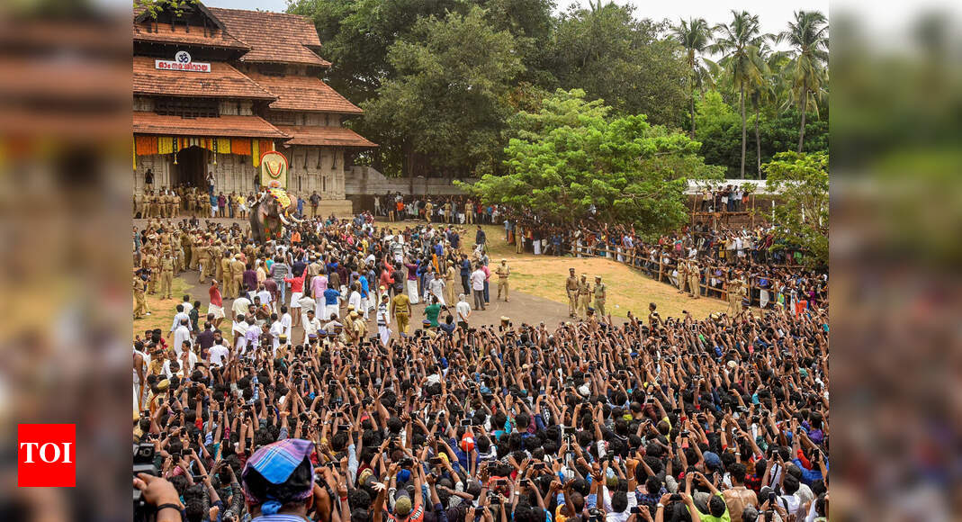 Kerala: Elephant Raman takes Thrissur Pooram fervour to new levels ...