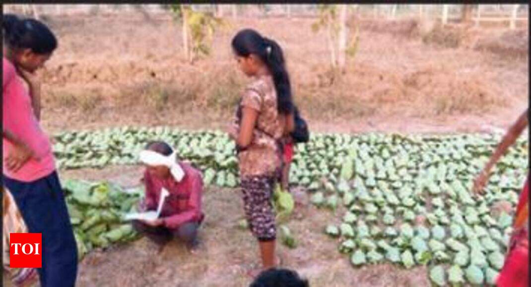 Tendu patta centres operating near Koka | Nagpur News - Times of India