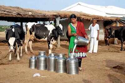 After a year, milk procurement prices revised upwards by co-operatives ...