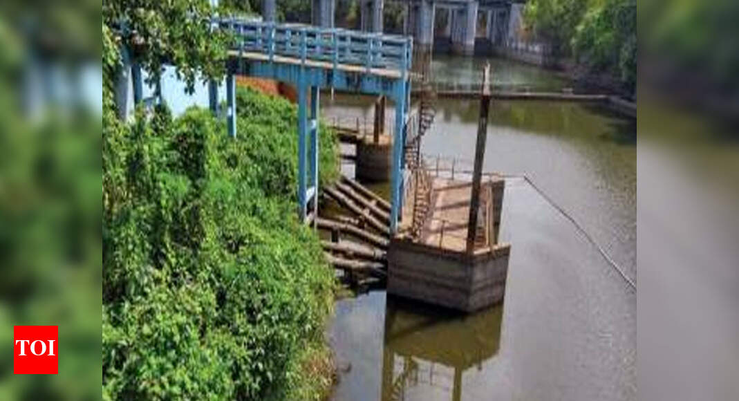 Pumps of horticulturists drawing Opa water won't be disconnected | Goa ...