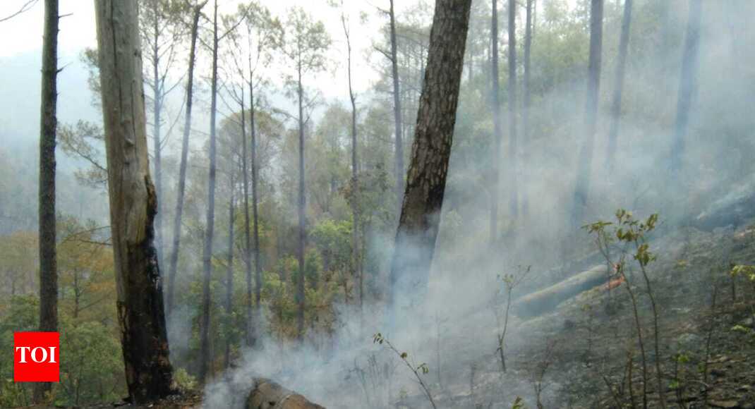 Rain in parts of Uttarakhand brings relief from forest fires | Dehradun ...