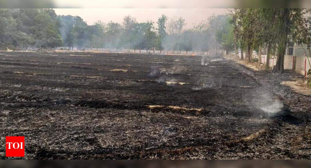 Gardner shifted after stubble burning at SP’s residence | Bareilly News ...