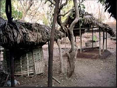 IGRMS workshop introduces Assam tribe’s simple housing techniques ...