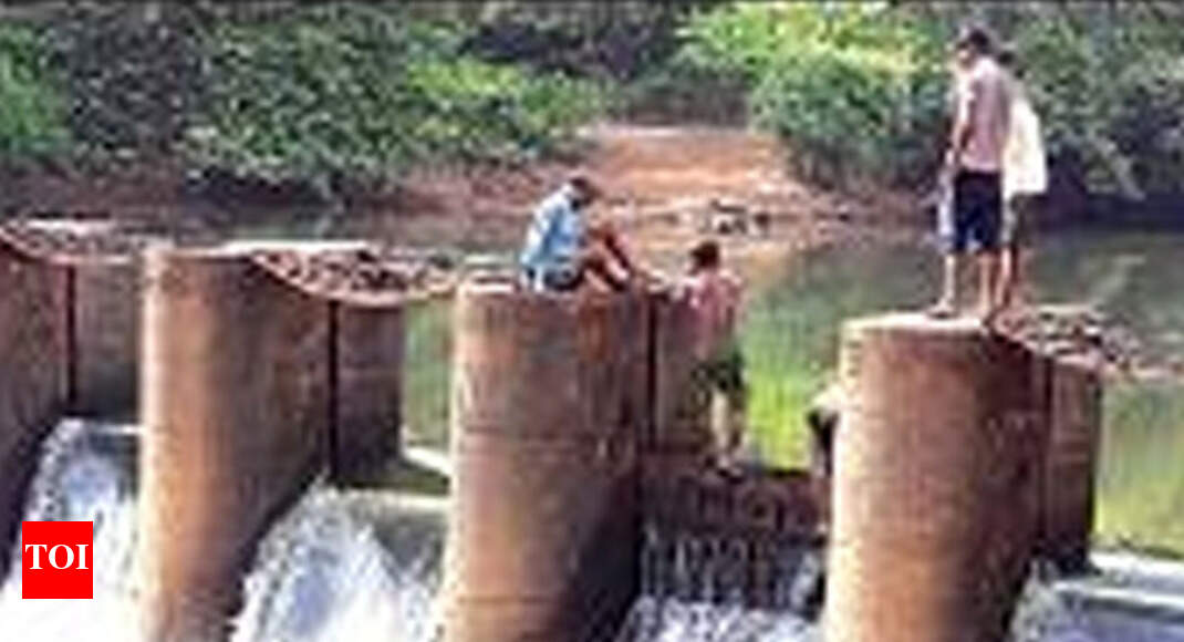 WRD partially opens bandhara at Opa river | Goa News - Times of India