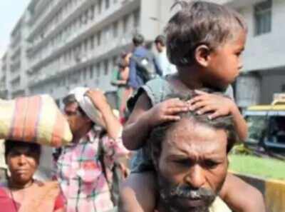 Government to conduct survey of tribals displaced from Chhattisgarh ...