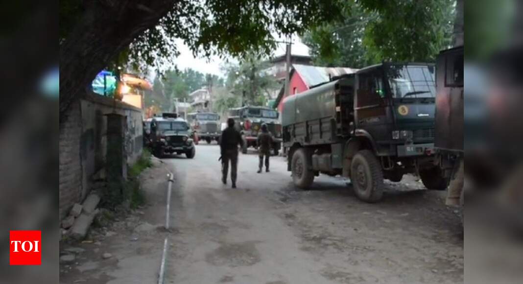 Pulwama Encounter: Three terrorists killed in encounter in J&K's Pulwama | India News - Times of ...