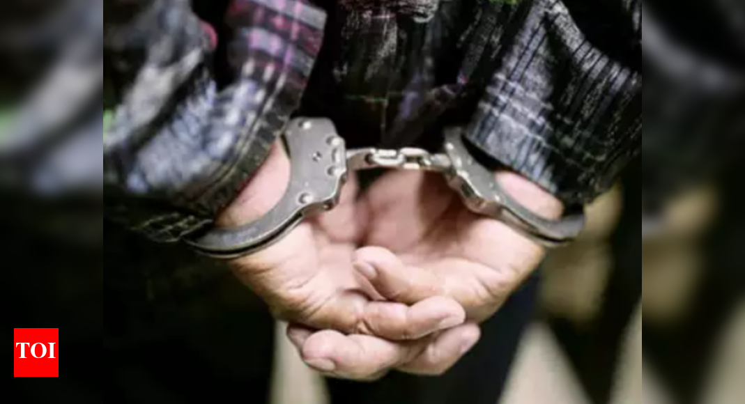 Indian-origin man indicted for $98 million fraud in US - Times of India