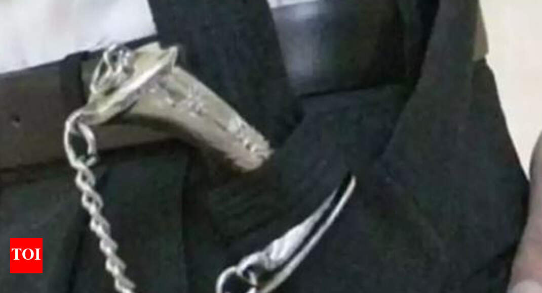 UK gets new weapons act, secures Sikh right to carry kirpans - Times of ...