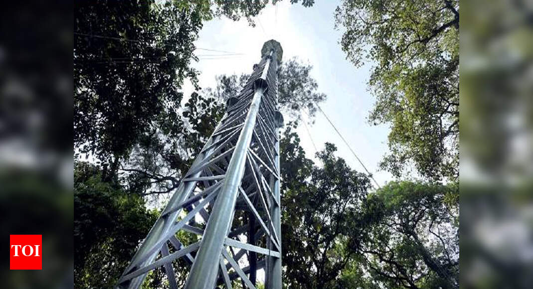 Locals protest cell tower near Lodhi Garden | Delhi News - Times of India