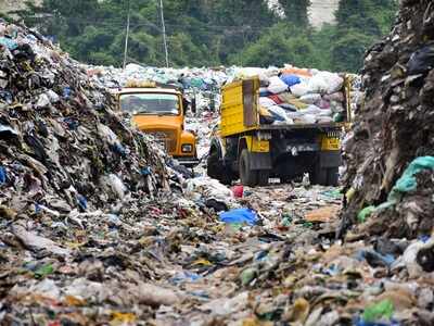 Brahmapuram plant: Wood chips to fight odour, reeds to treat water ...