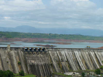 Five dams in Nashik district to hit zero water storage level | Nashik News - Times of India