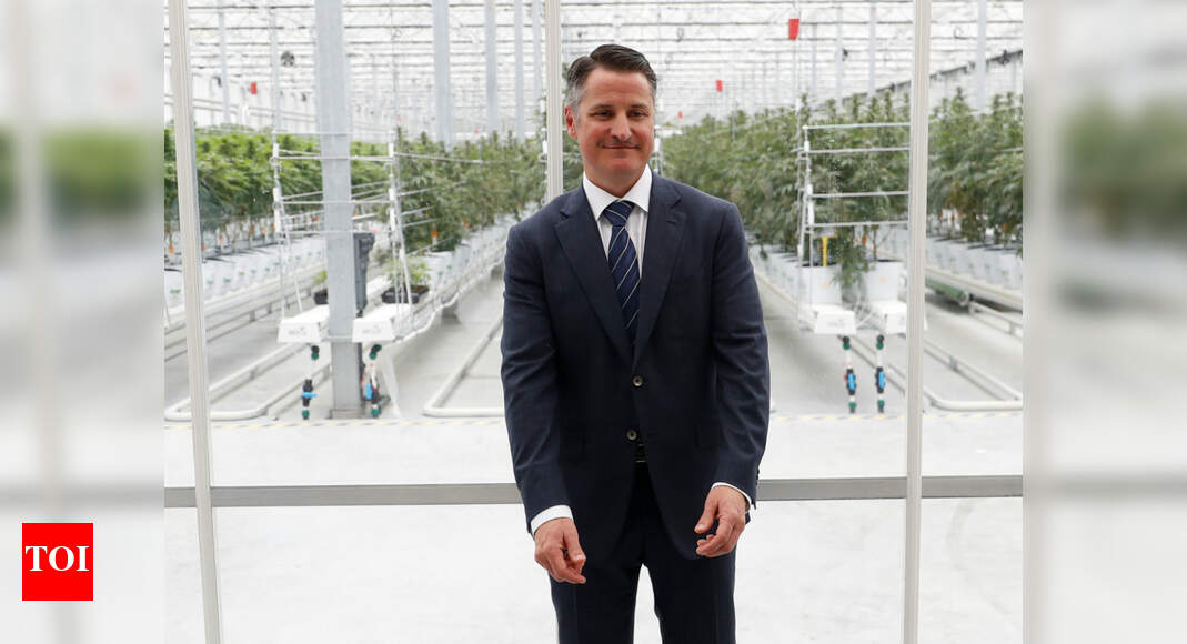 A 300% surge makes pot CEO No. 2 in pay list after Elon Musk - Times of ...