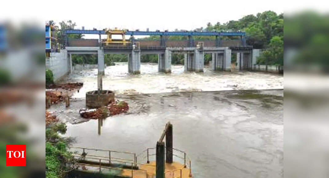 After Opa, concern rises as Anjunem levels drop to 15% | Goa News ...