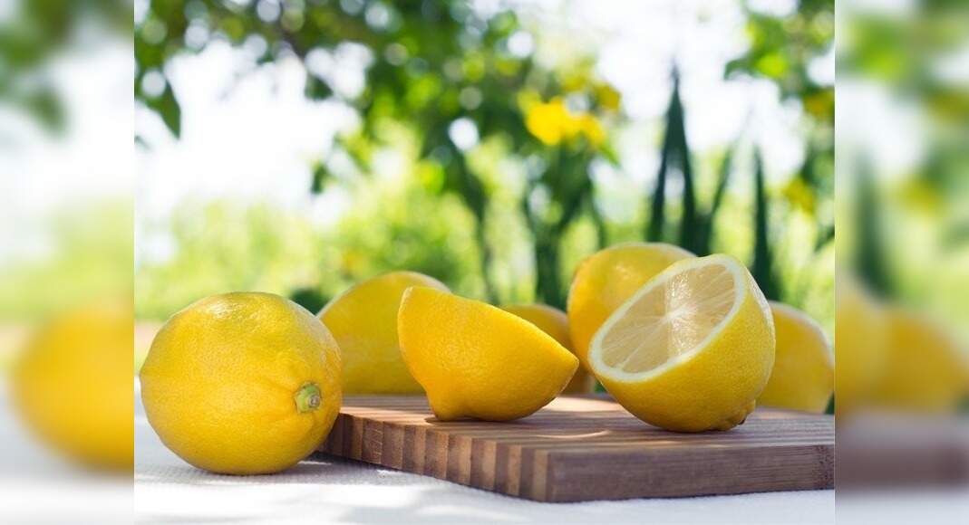 Best Lemony Perfumes Perfect For Summer Season