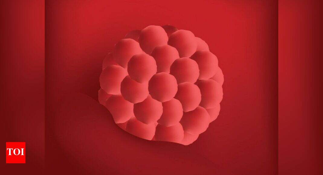 1 week pregnant: What to expect - The Times of India