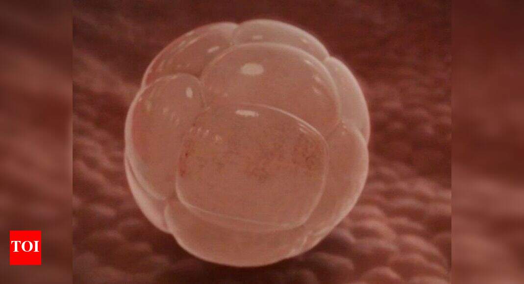 3 weeks pregnant: Here is what you should expect! - Times of India