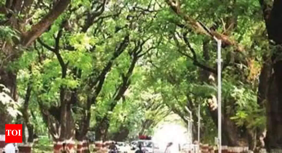 Tree Ambulance launched in Chennai | Chennai News - Times of India