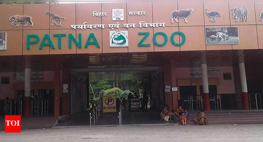 Patna Zoo welcomes a baby giraffe | Events Movie News - Times of India