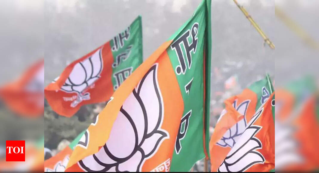 MP Election results 2019: BJP leading in 28 of 29 seats, leading by ...
