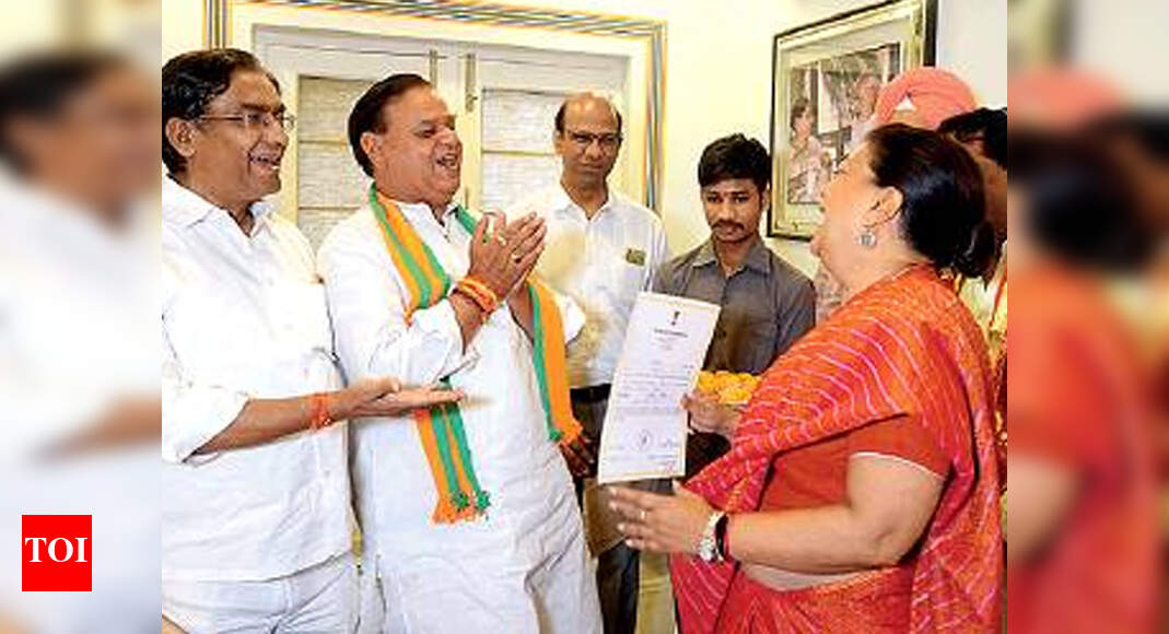 Vasundhara Raje celebrates success with new MPs | Jaipur News - Times ...
