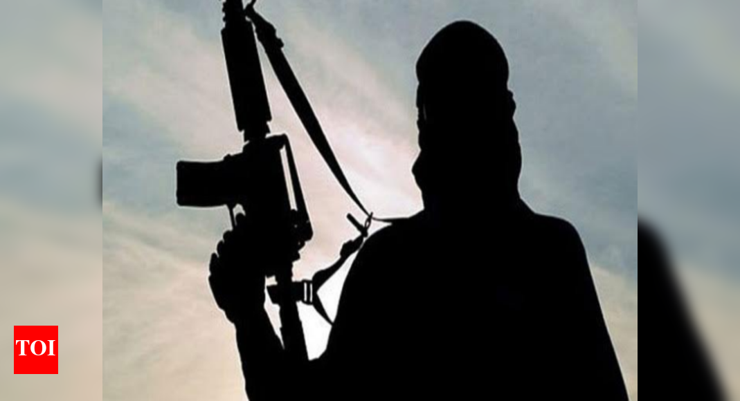 Pakistan national among 2 JeM terrorists killed in encounter in J&K's ...