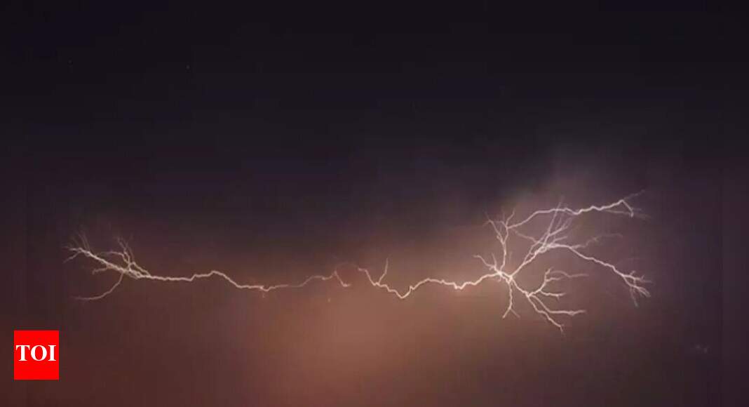 ‘Lightning made humans start walking on two legs’ - The Times of India