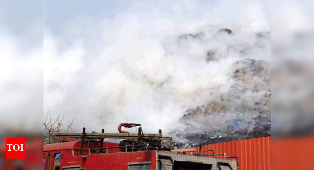 Declare fire as ‘disaster’, Goa government urged | Goa News - Times of ...