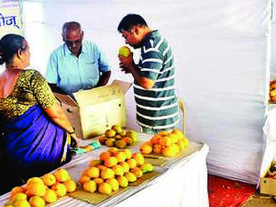 Nashik: 5-day mango festival begins at APMC | Nashik News - Times of India