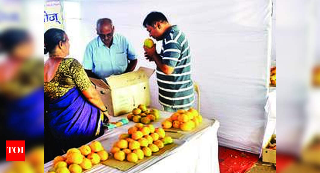 Nashik: 5-day mango festival begins at APMC | Nashik News - Times of India