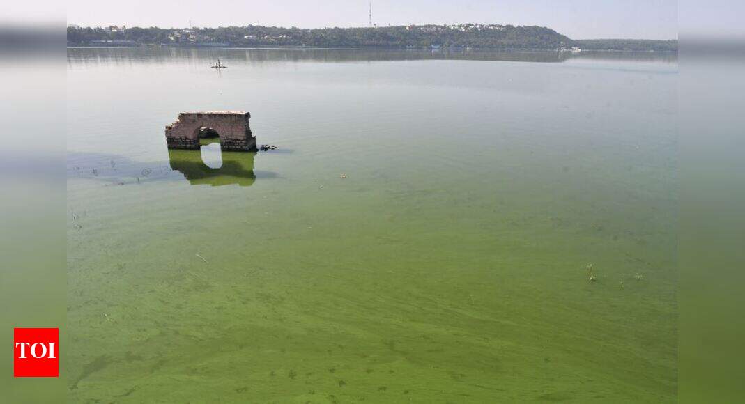 Upper Lake is so dry that you can trek to Takia Tapu | Bhopal News ...