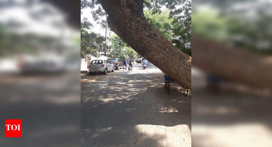 obstruction in middle of the road - Times of India
