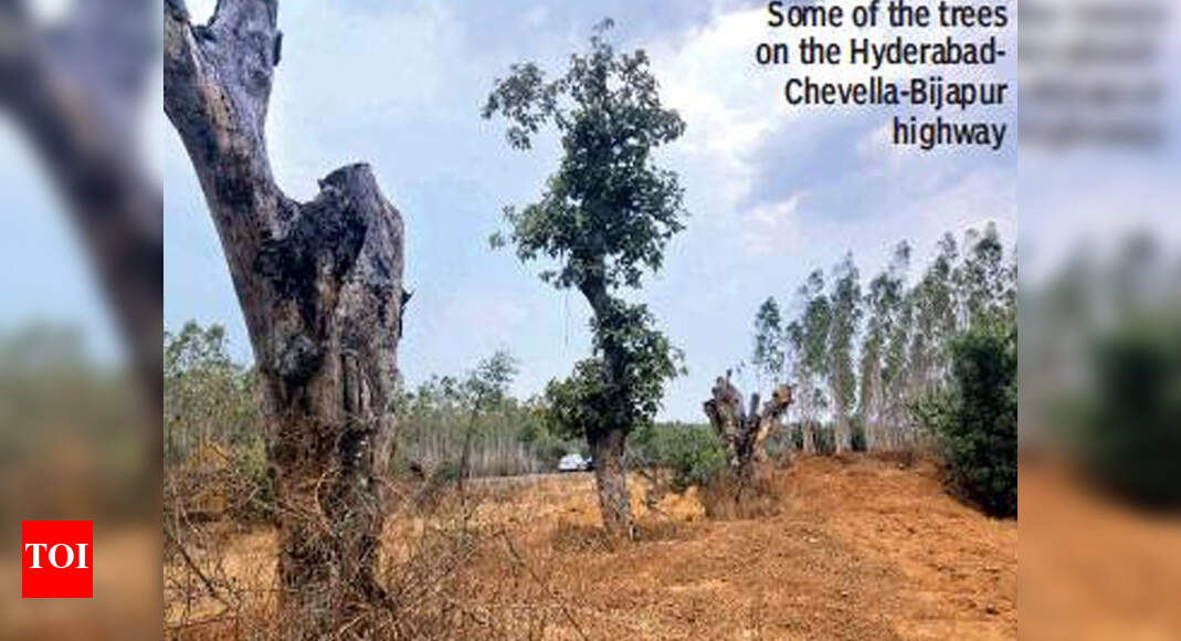 NHAI says rethinking road-widening ‘not possible’ | Hyderabad News ... NHAI says rethinking road-widening ‘not possible’ | Hyderabad News ...