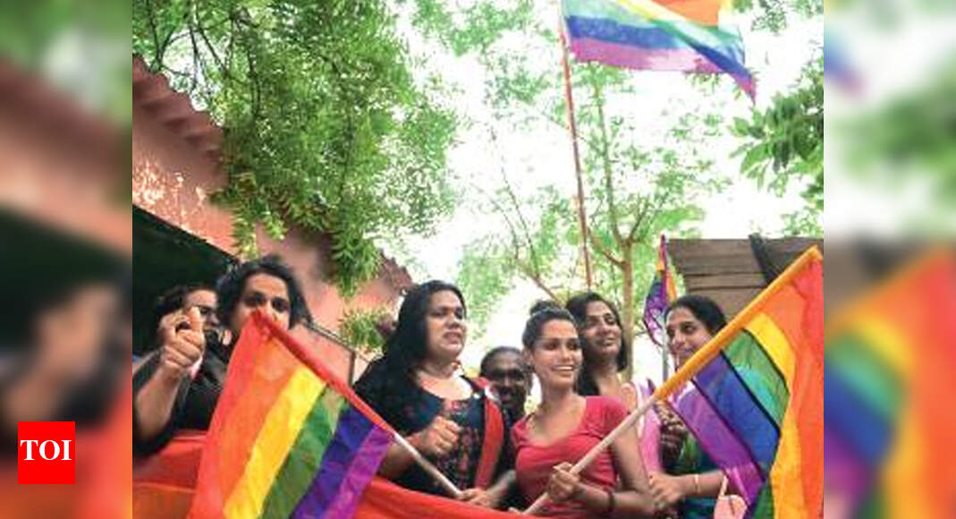 Chennai: Rainbow flag flutters with pride | Chennai News - Times of India