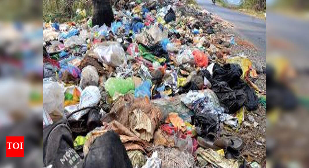 Six North Goa villages resolve to implement ban on plastic bags | Goa ...
