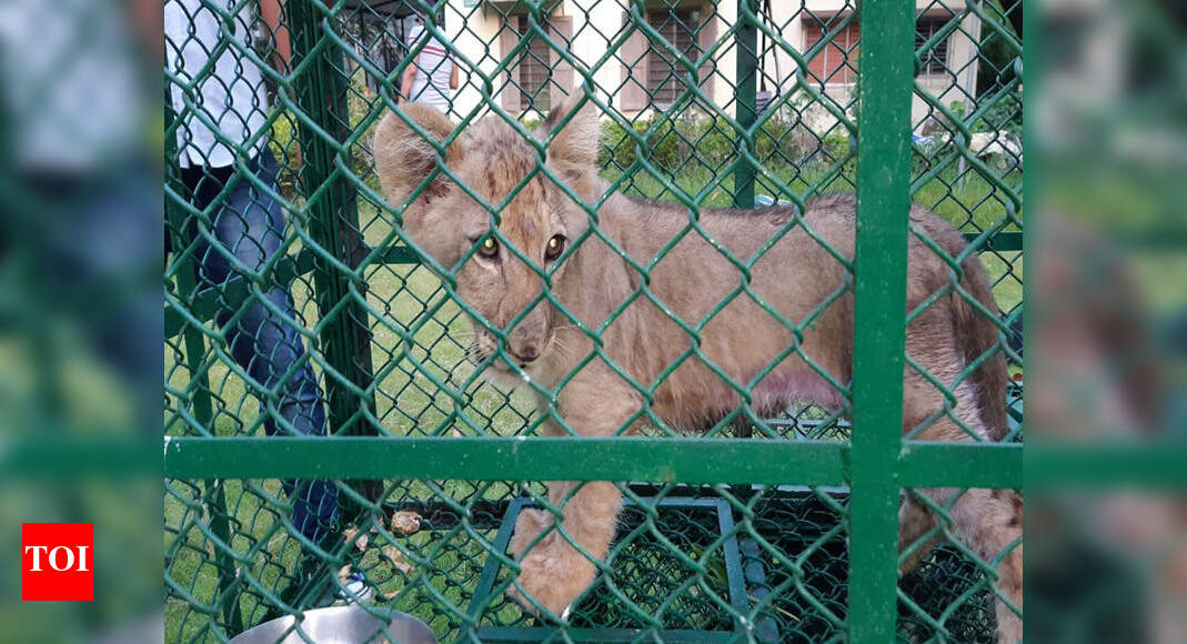 Animal rescue: Phone numbers, new names key to probe, says official ...