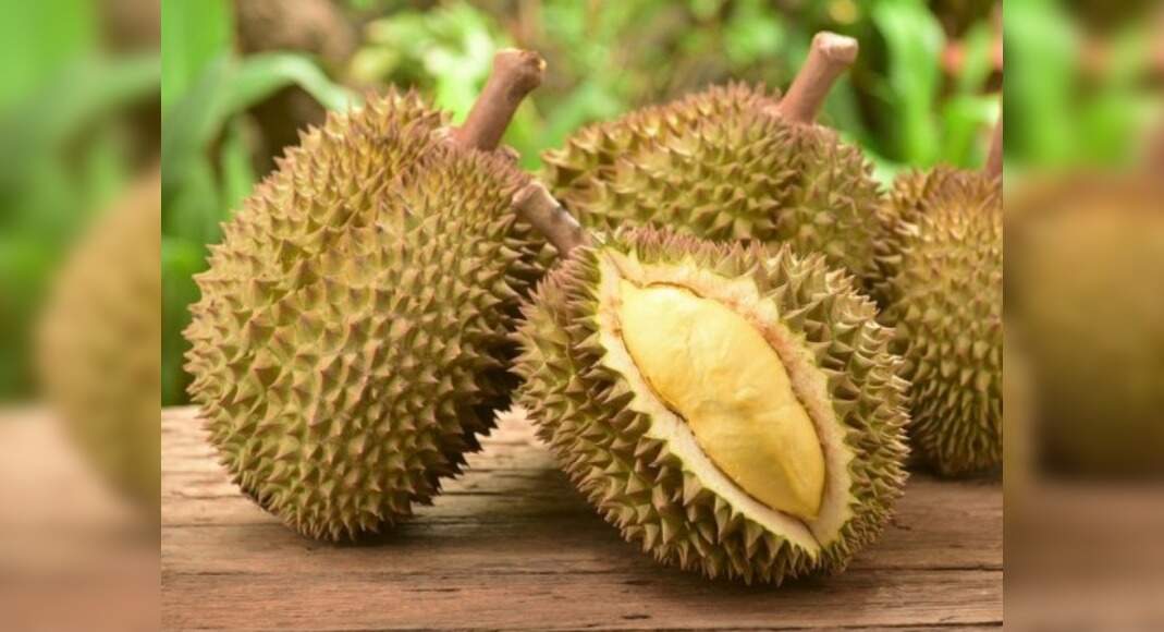 Health Benefits Of Durian Fruit