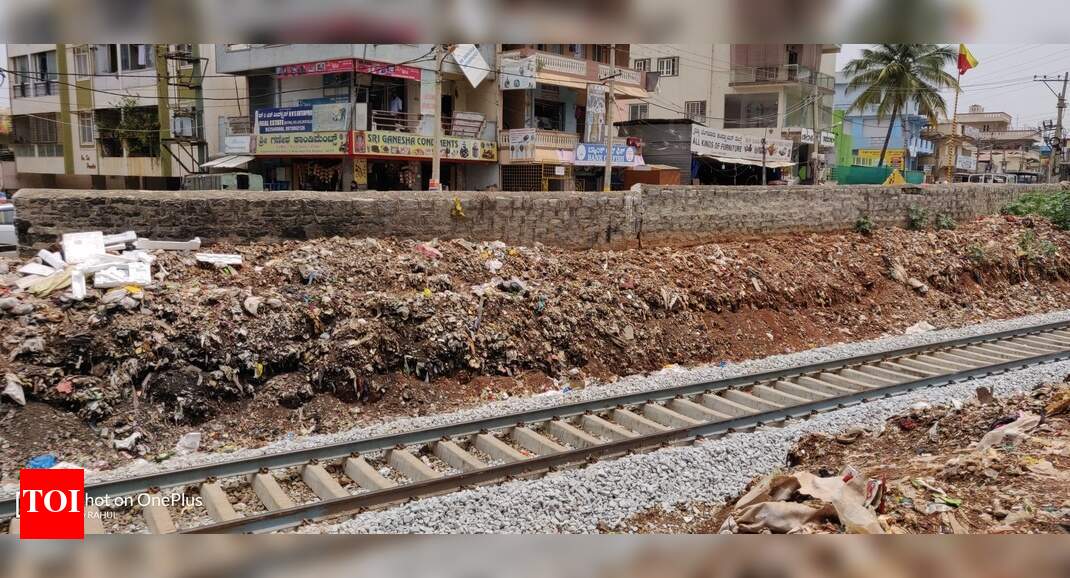 God of Garbage in Kaggadaspura - Times of India