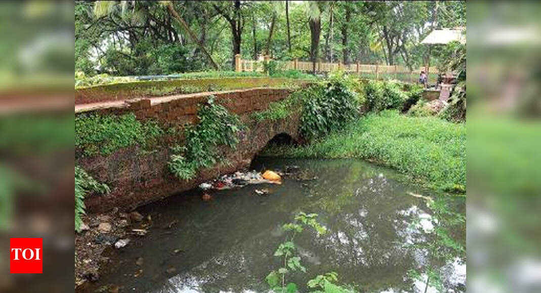 Fresh report for St Inez creek revival in works | Goa News - Times of India