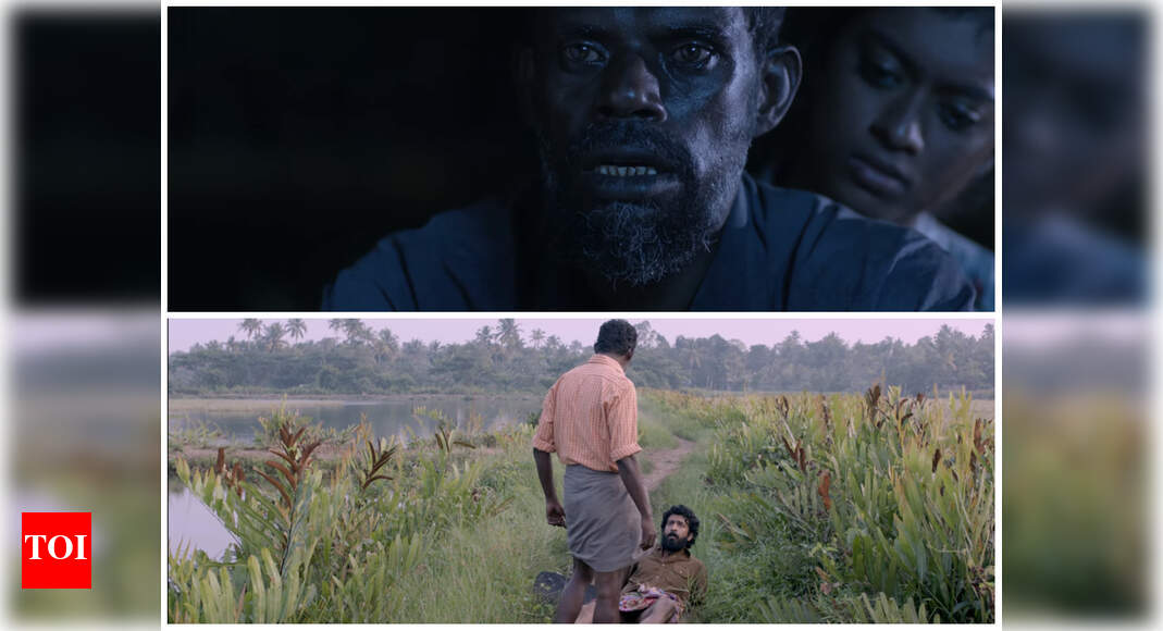 ‘Thottappan’: Makers unveil the much-awaited trailer of Shanavas K ...