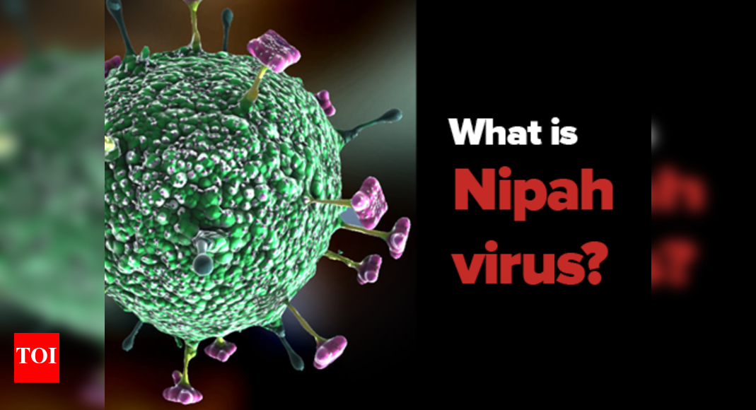 Infographic: Nipah virus: All you wanted to know | India News - Times ...