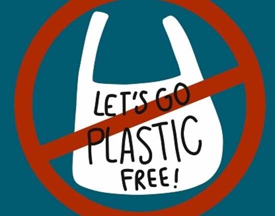 Dzukou Valley is turning into a ‘plastic free zone’ on World ...