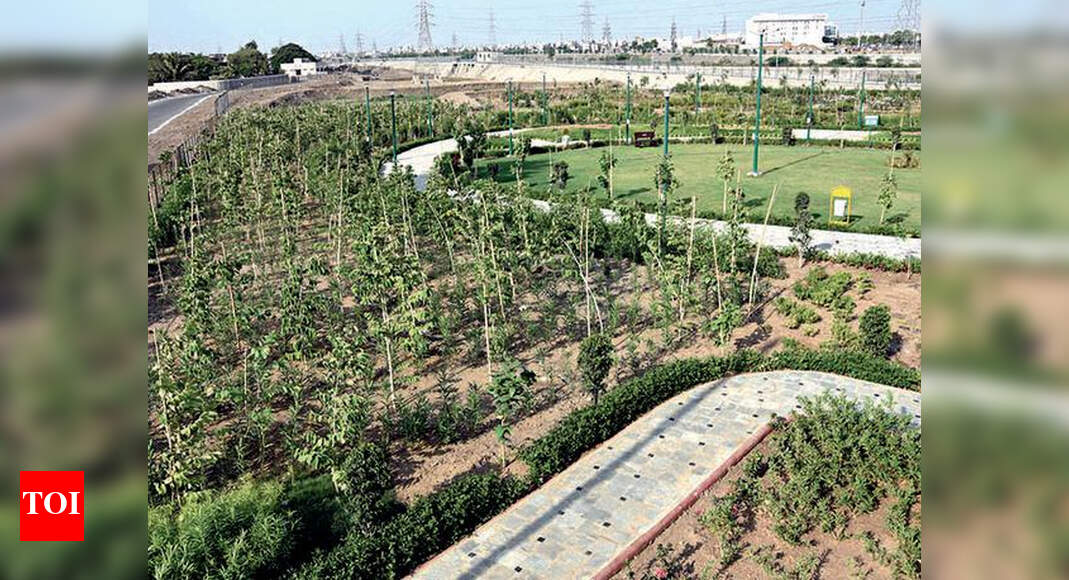 Work begins to develop urban forest on 68 hectares in Surat | Surat ...