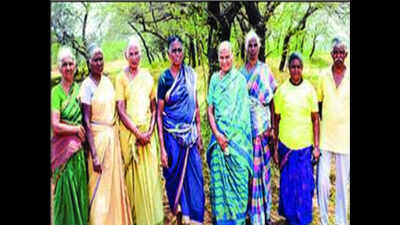 Elders chip in to bring Sengulam back to life | Coimbatore News - Times ...