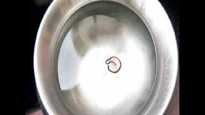 Snakelet crawls out of tap in Panchkula | Chandigarh News - Times of India